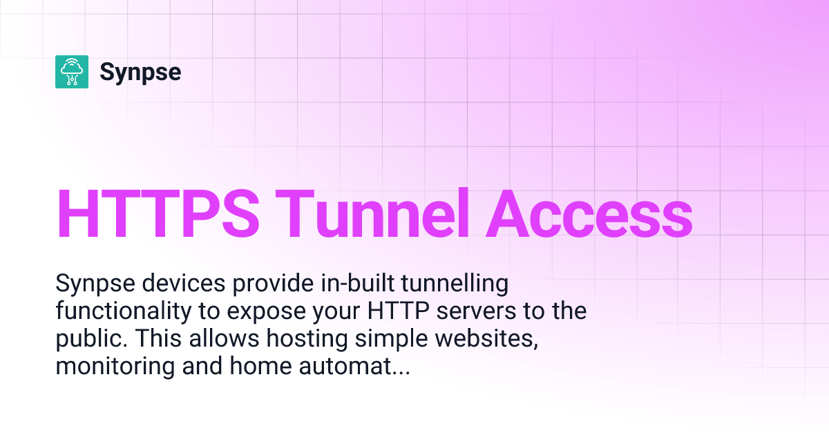 HTTPS Tunnel Access | Synpse